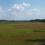 Warsaw: Bialowieza National Park and European Bison Tour - Why This Tour Works: The Experience in Detail