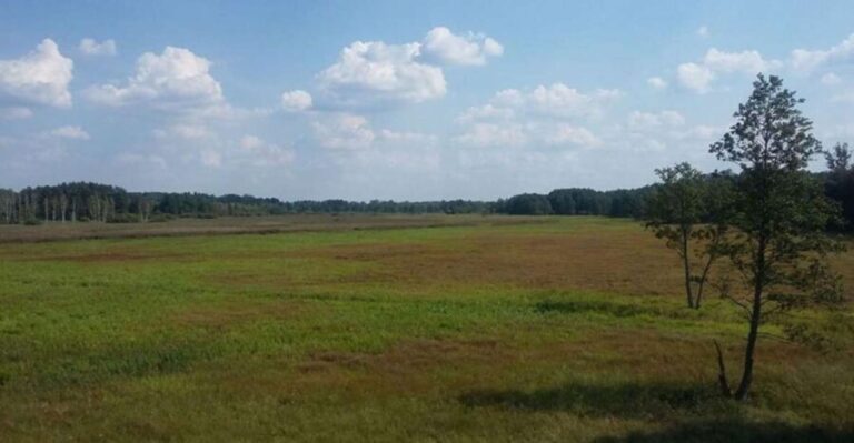 Warsaw: Bialowieza National Park and European Bison Tour - Why This Tour Works: The Experience in Detail