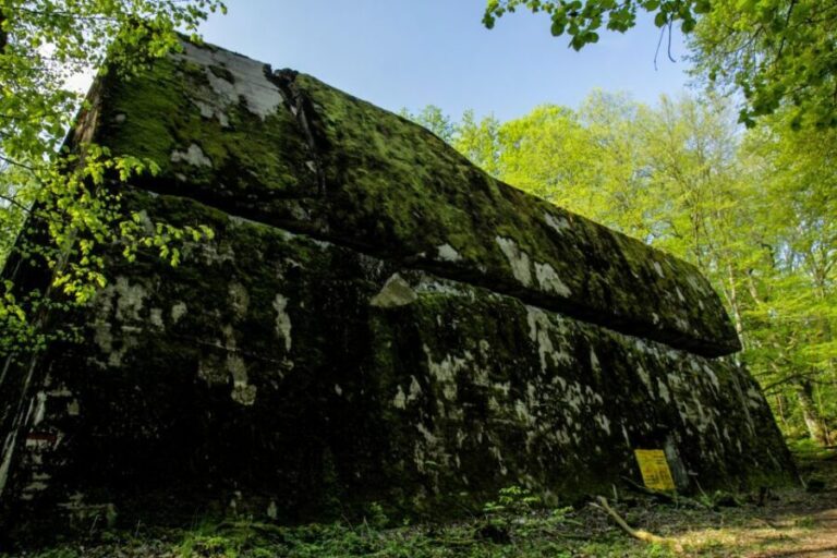 Warsaw: Private Full-Day Wolf's Lair Tour - The Full Itinerary in Detail