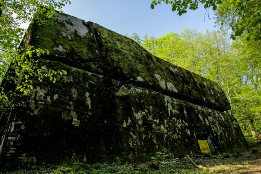 Warsaw: Private Full-Day Wolf's Lair Tour - The Full Itinerary in Detail