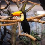 Warsaw Zoo Skip-the-Line Entry Ticket with Private Transport - What to Expect at Warsaw Zoo