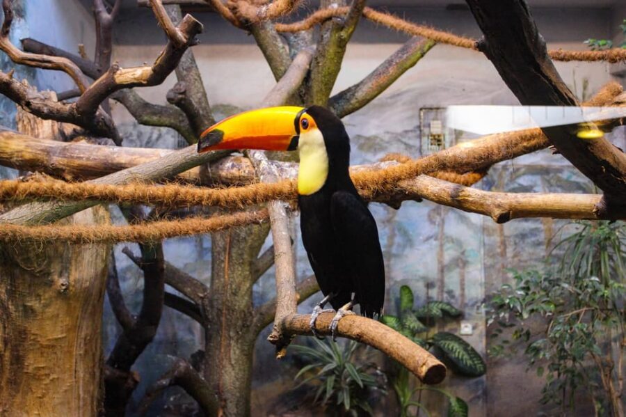 Warsaw Zoo Skip-the-Line Entry Ticket with Private Transport - What to Expect at Warsaw Zoo