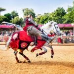 Warwick: Entry Ticket for Warwick Castle - Who Should Visit Warwick Castle?