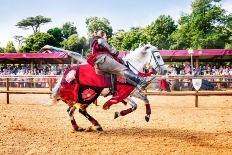 Warwick: Entry Ticket for Warwick Castle - Who Should Visit Warwick Castle?