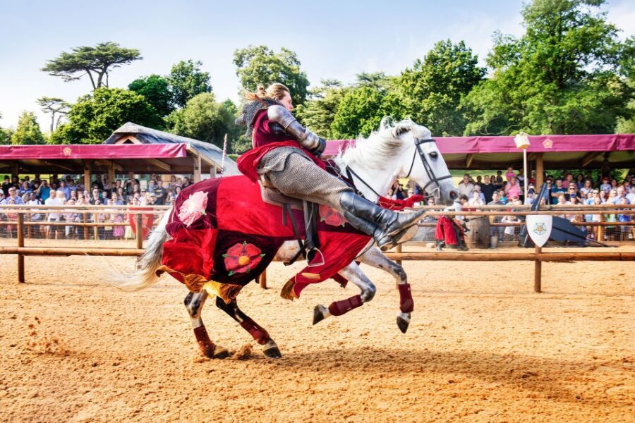 Warwick: Entry Ticket for Warwick Castle - Who Should Visit Warwick Castle?