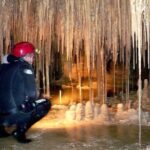 Water Cave in Cova des Coloms - Authentic Experiences and Genuine Praise