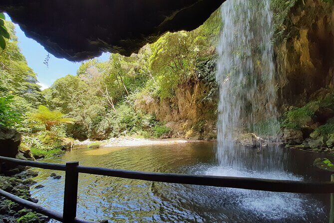 Waterfalls Hike, Moinho do Felix with tea plantation - The Experience: Pros and Cons
