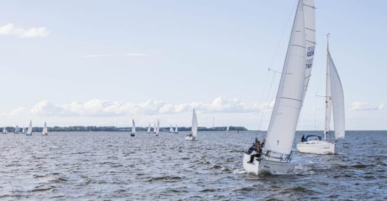Wednesday Regatta with harbour tour - The Itinerary in Detail