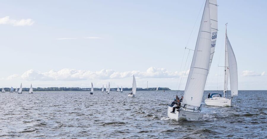 Wednesday Regatta with harbour tour - The Itinerary in Detail