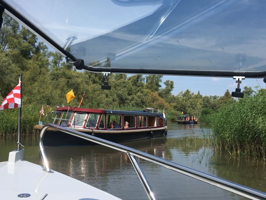 Werkendam: Boat Cruise and Biesbosch Museum Entry Ticket - A Closer Look at the Experience
