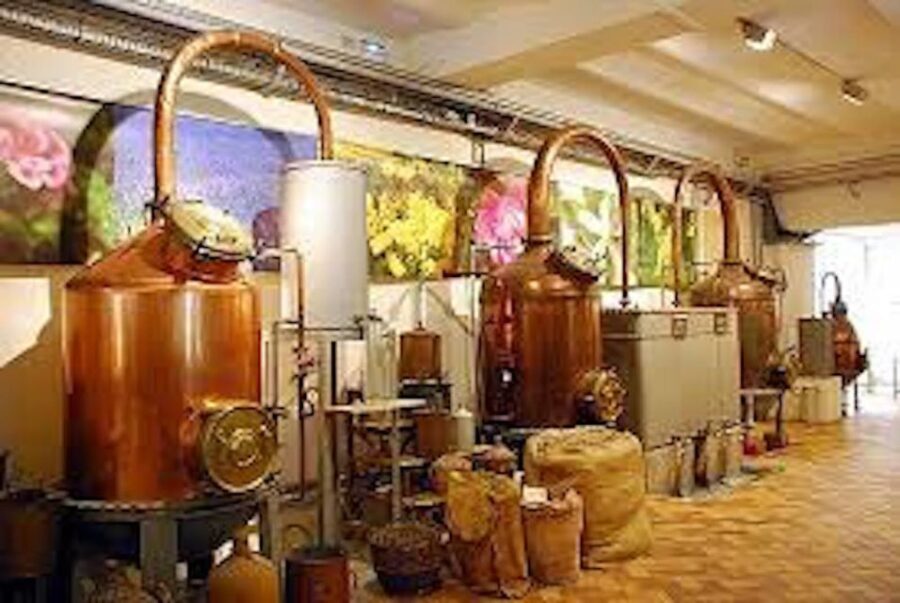 West Coast and Country Side full day Tour - Practical Aspects and What You Get for Your Money