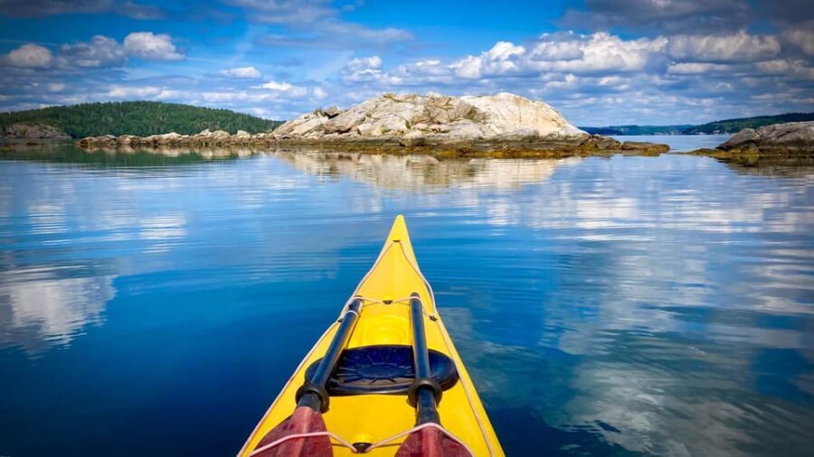 West Sweden: Paddle with seals - An Authentic Swedish Fjord Adventure