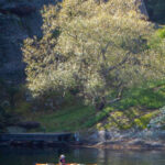 West Sweden: Sea Kayak Delight in Nature Reserves - What’s Included and What’s Not