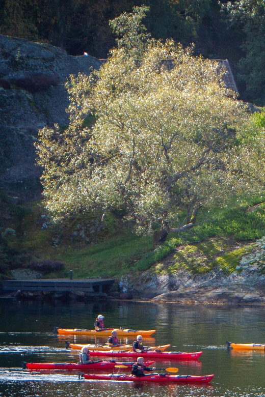 West Sweden: Sea Kayak Delight in Nature Reserves - What’s Included and What’s Not