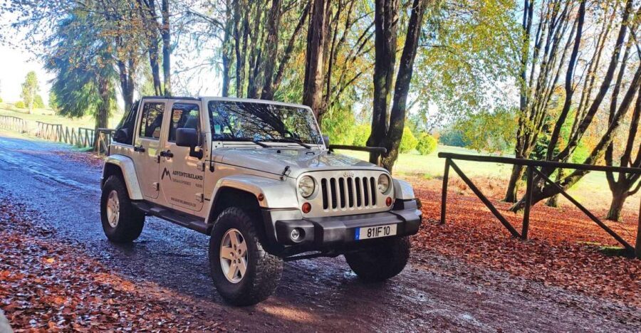 West tour - Porto Moniz VIP 4X4 Wrangler Tour 8h trip - Why Youll Love This Tour