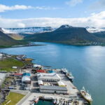 Westfjords Express Half-Day Tour from Ísafjörður - What’s Included and What’s Not