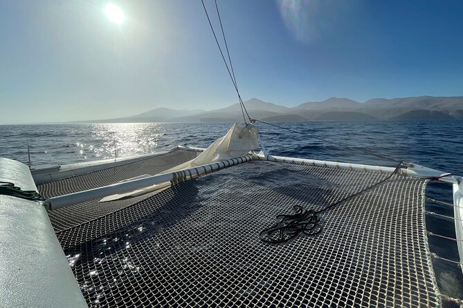 Whale & Dolphin Observation on Silent Catamaran with Hydrophone - A Cruise for Nature Lovers and Sea Enthusiasts
