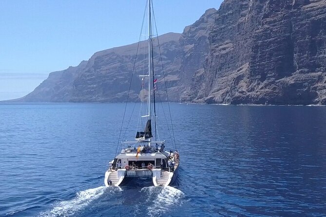 Whale Watching Catamaran to Los Gigantes & Masca (Including drinks & warm lunch) - Key Points