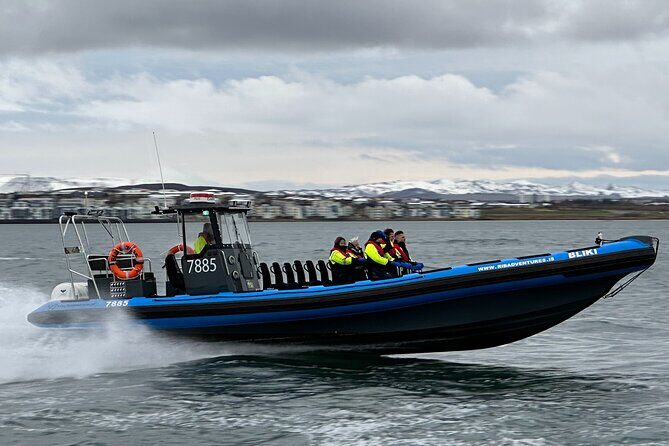 Whale Watching - RIB Boat Adventure in Kopavogur, Iceland - Price and Value