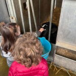 What a day: Parmesan, Balsamico , Lambrusco Taste&Tour+Lunch - The Family-Run Winery — TerraQuilia