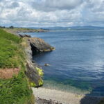 Wicklow: Guided Cliff Walk with Seals and Town Tour w/Picnic - Value and Practicalities
