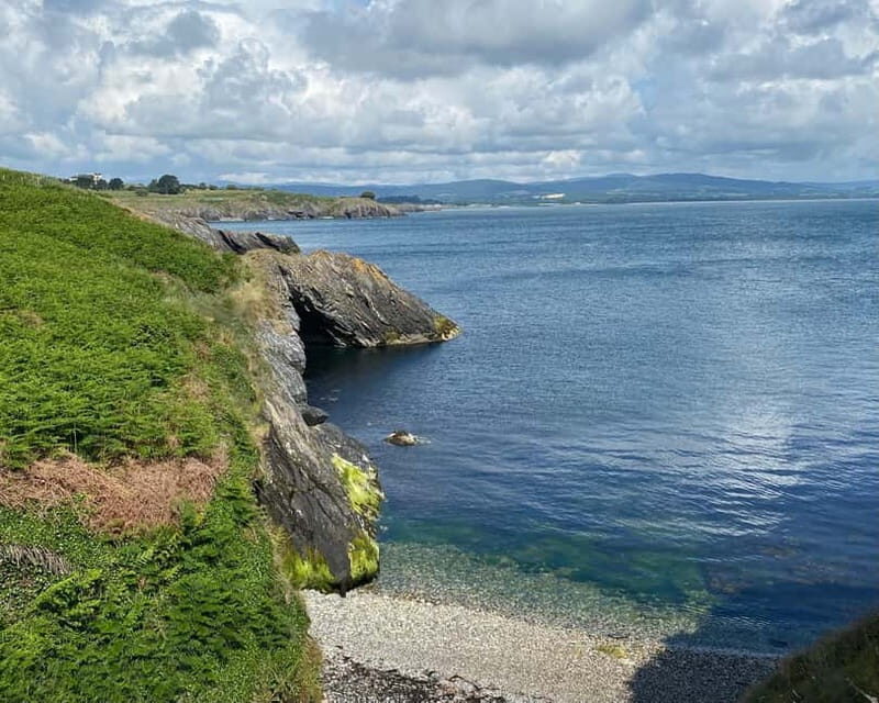 Wicklow: Guided Cliff Walk with Seals and Town Tour w/Picnic - Value and Practicalities
