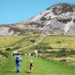 Wicklow: Private Day Tour from Dublin - Why This Tour Delivers Great Value