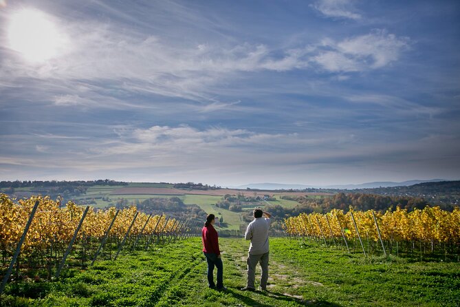 Wieliczka Vineyard: Wine tasting with local snacks - Key Points