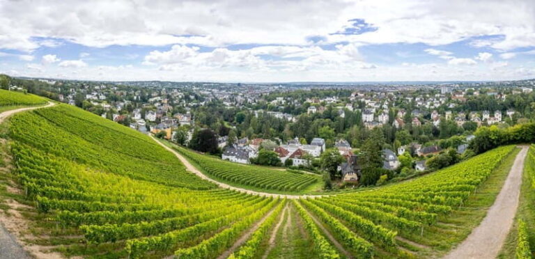 Wiesbaden: Neroberg  Wiesbaden's local mountain - Practical Tips for Visitors