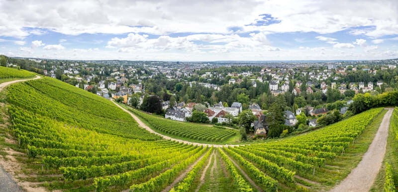 Wiesbaden: Neroberg  Wiesbaden's local mountain - Practical Tips for Visitors