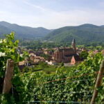 Wihr-au-Val: Wine Tasting in Alsace - The Itinerary: What to Expect During Your Tasting