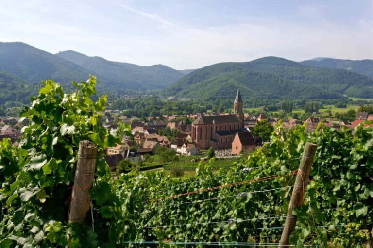 Wihr-au-Val: Wine Tasting in Alsace - The Itinerary: What to Expect During Your Tasting