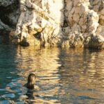 Wild Bays and Plavnik Island: A whole day private boat tour - Practical Details