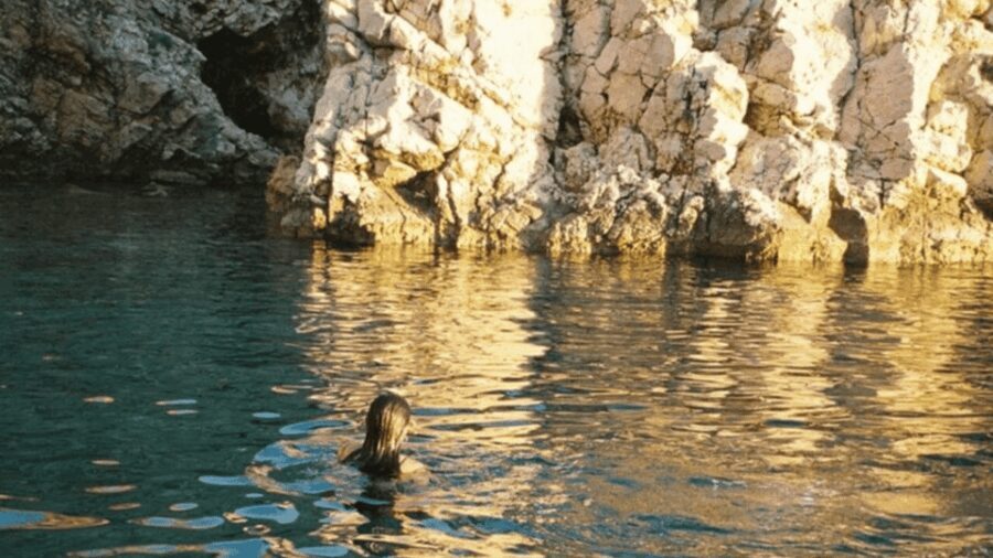 Wild Bays and Plavnik Island: A whole day private boat tour - Practical Details
