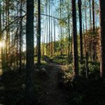 Wilderness Survival Tour - Summer & Autumn - Tour Itinerary: What to Expect
