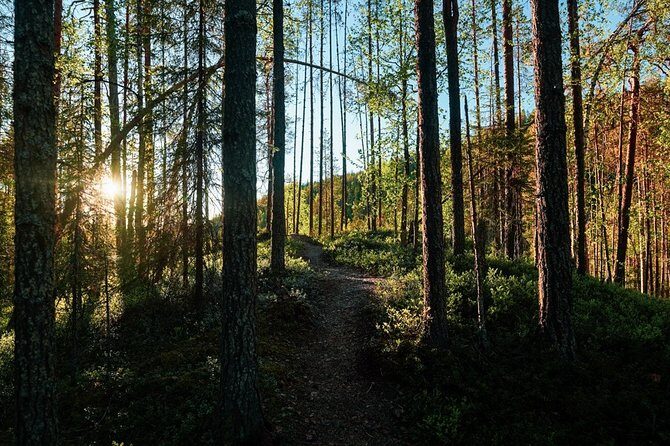Wilderness Survival Tour - Summer & Autumn - Tour Itinerary: What to Expect