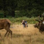 Wildlife Photography Workshop in Richmond Park in London - Who Should Consider This Workshop?