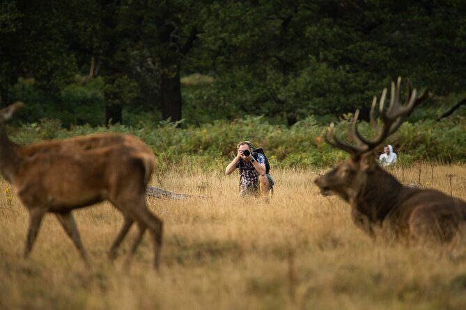 Wildlife Photography Workshop in Richmond Park in London - Who Should Consider This Workshop?