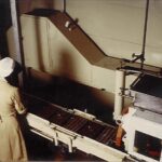 Willy Wonka in Turin - A chocolate adventure - Why Consider the Price? Is It Worth It?