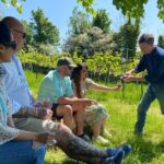Wine and Cheese Tasting Tour in Cheddar Valley - Why This Tour Stands Out