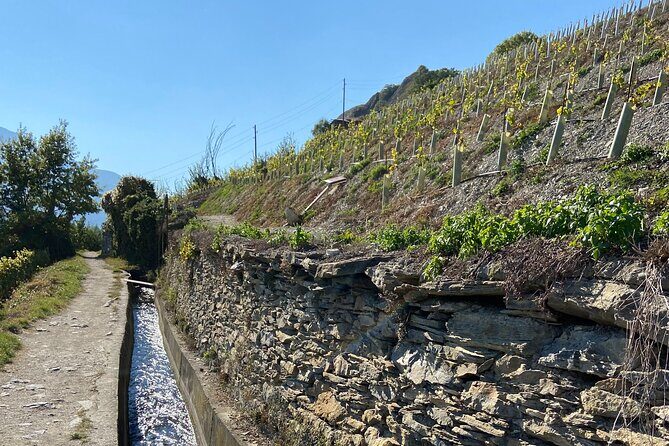 Wine and Dine Vineyard Walk in Sion - An In-Depth Look at the Tour