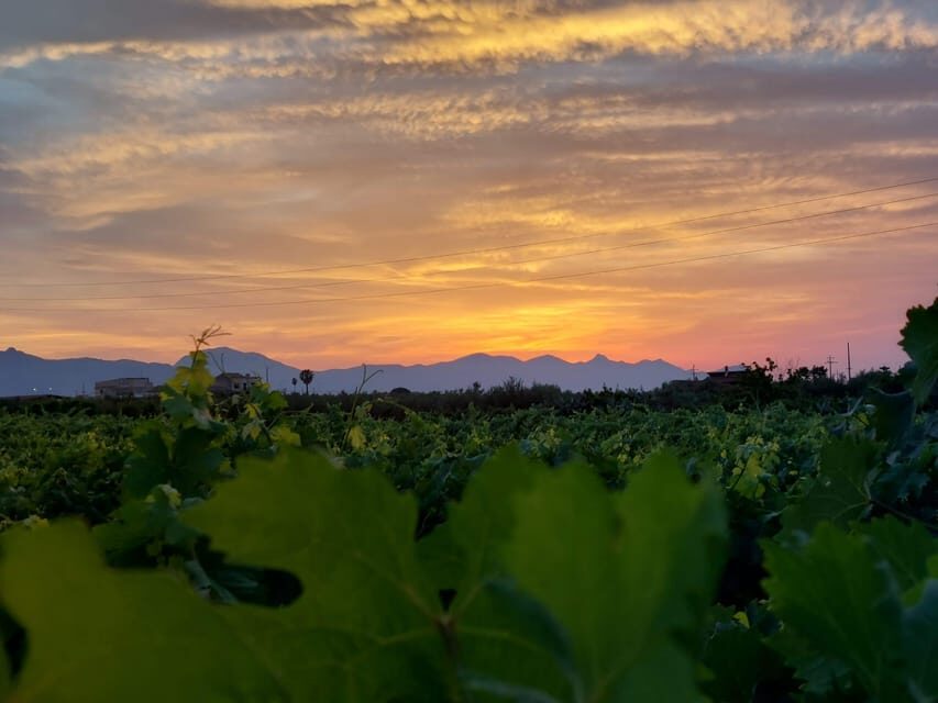 Wine and food at sunset - The Setting and Atmosphere