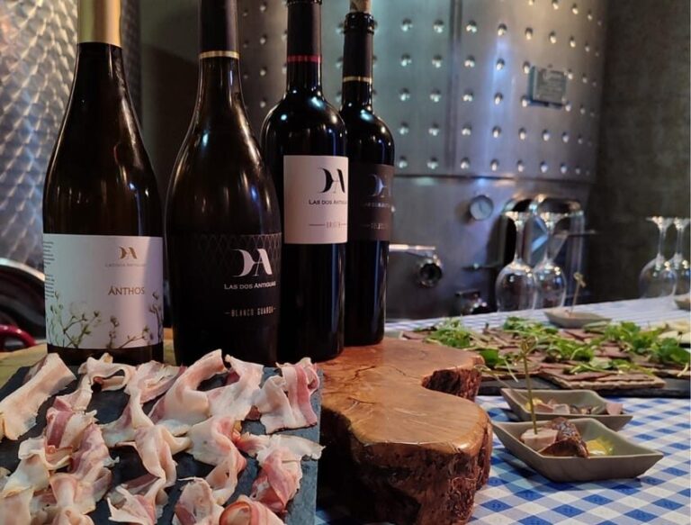 Wine and Food Pairing Tasting Las dos Antiguas- Bodega Artesanal Segovia - The Itinerary: What You Can Expect