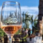Wine and Tapas Tasting Tour from Alicante, Private Van - What Makes This Tour Stand Out?