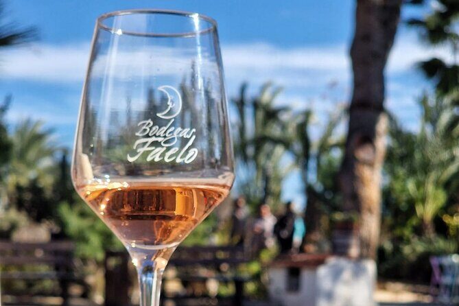 Wine and Tapas Tasting Tour from Alicante, Private Van - What Makes This Tour Stand Out?