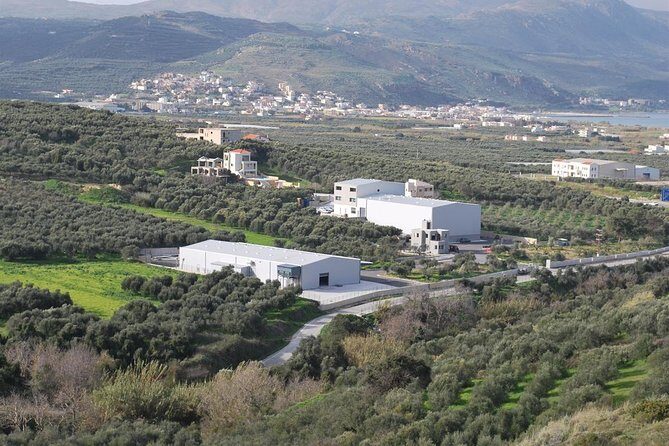 Wine, Beer, Olive Oil Tasting Private Tour (price per group of 6) - Exploring the Itinerary: A Deep Dive