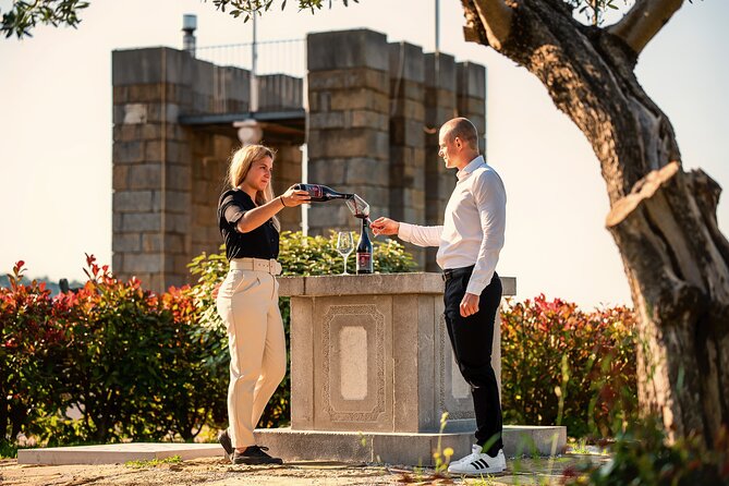 Wine Degustation in the Heart of Slovenian Istria - An Authentic Slovenian Istrian Experience in Koper