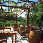 Wine, Dine & Divine: A Cretan Odyssey in Chania - Transport, Timing, and Group Size