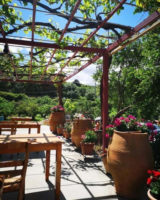 Wine, Dine & Divine: A Cretan Odyssey in Chania - Transport, Timing, and Group Size