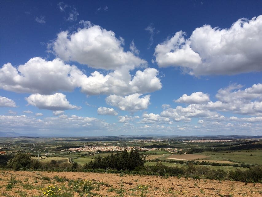 Wine Experience around Cagliari - Breaking Down the Itinerary